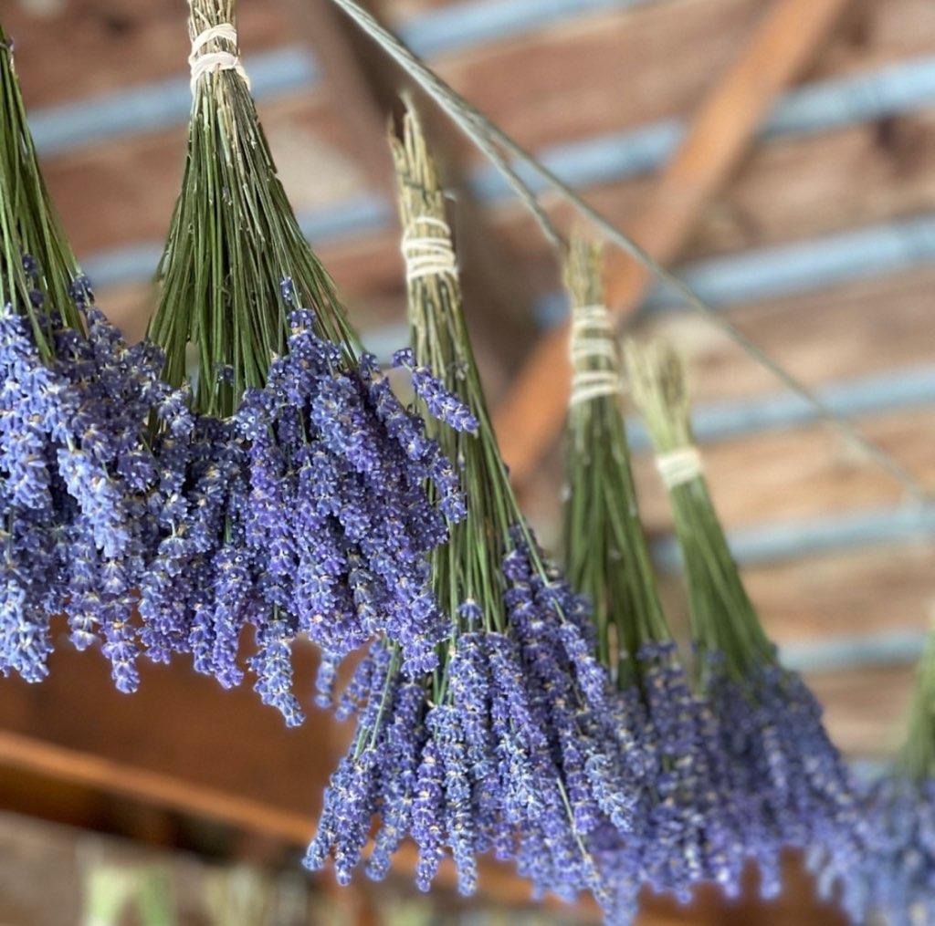 Slate Hill Flower Farm – Slate Hill Lavender Farm