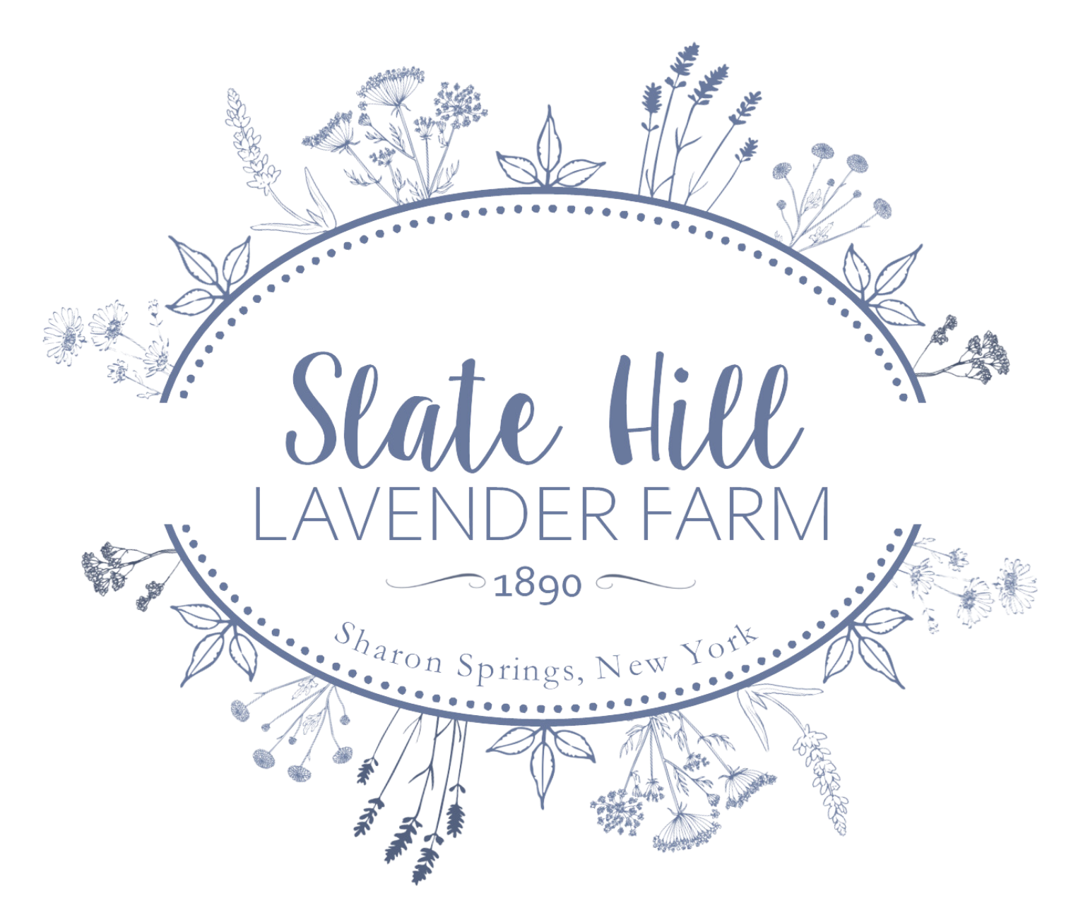 Visit – Slate Hill Lavender Farm