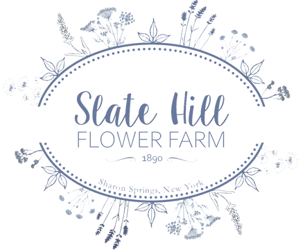 Visit – Slate Hill Lavender Farm